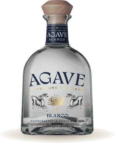 Agave Blanco - Agave